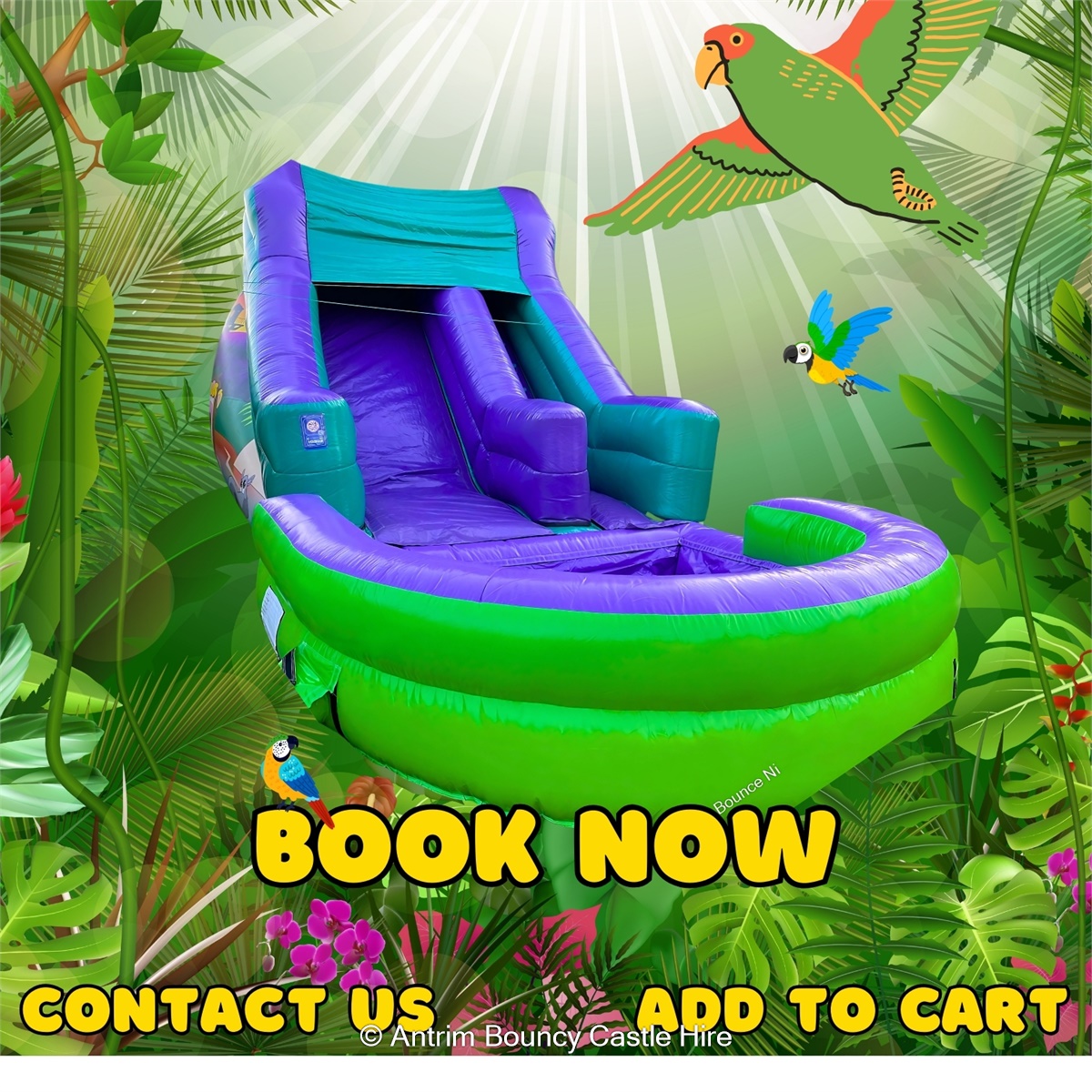 Water Slide - Jungle theme - Hire in Toomebridge | Antrim Bouncy Castle ...